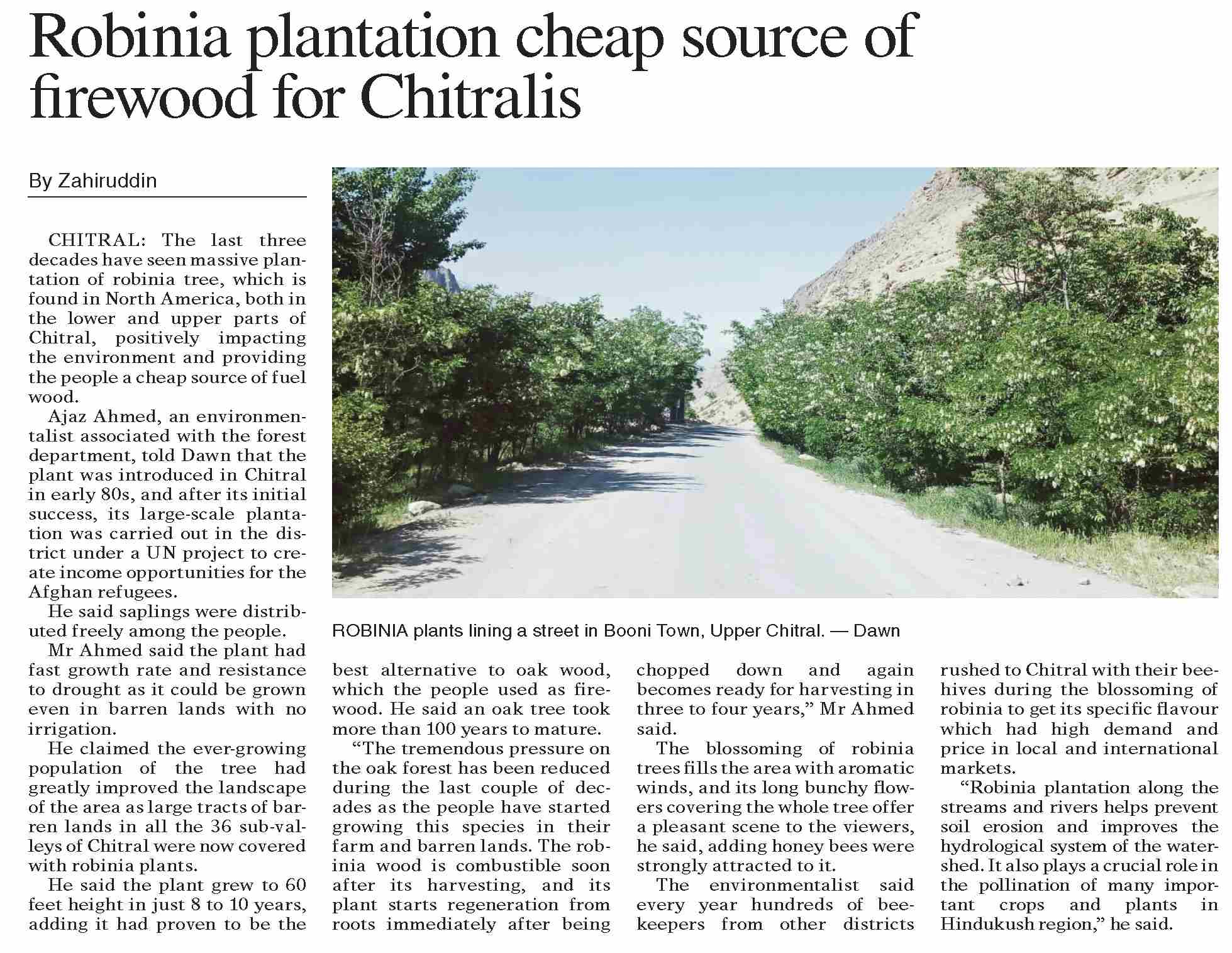 Dawn-ePaper | Jun 01, 2021 | Robinia plantation cheap source of ...