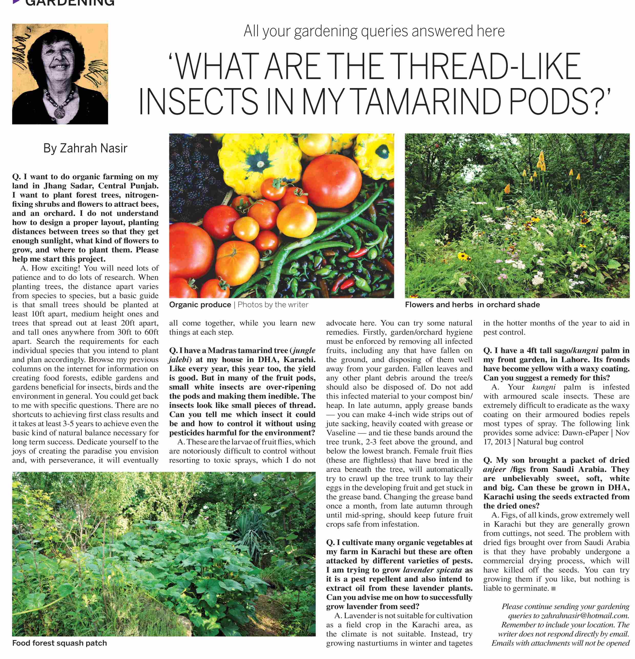 Dawn-ePaper | May 22, 2022 | `WHAT ARE THE THREAD-LIKE INSECTS IN MY ...