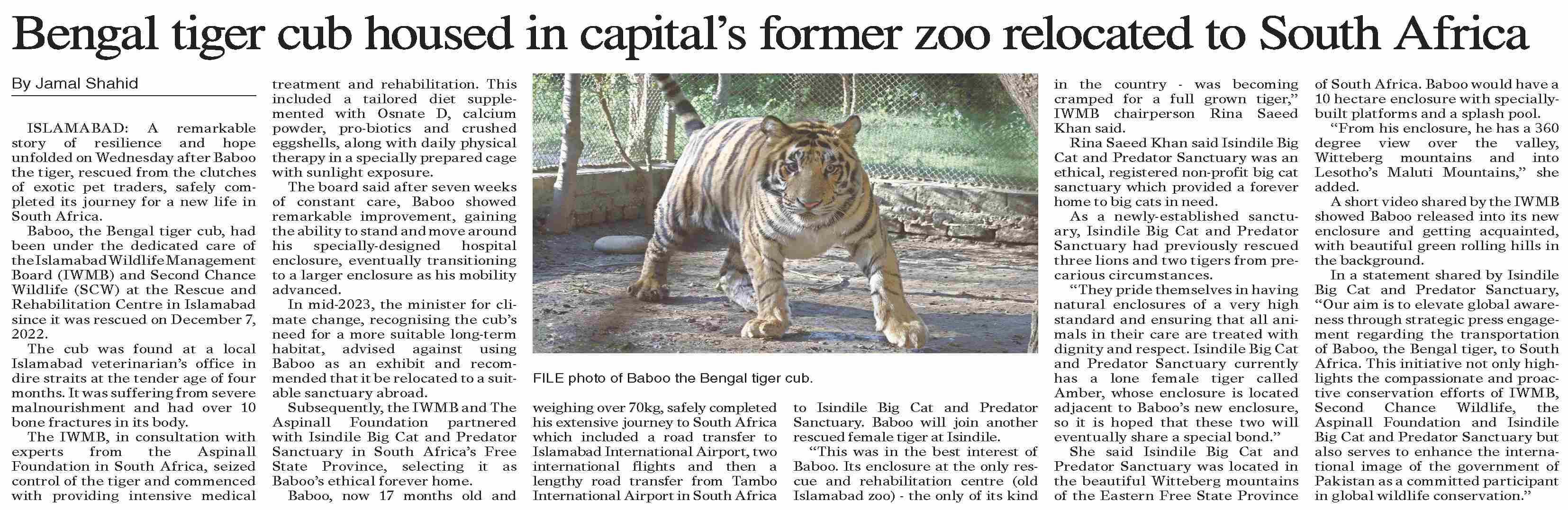 Dawn-ePaper | Feb 15, 2024 | Bengal tiger cub housed in capital`s ...