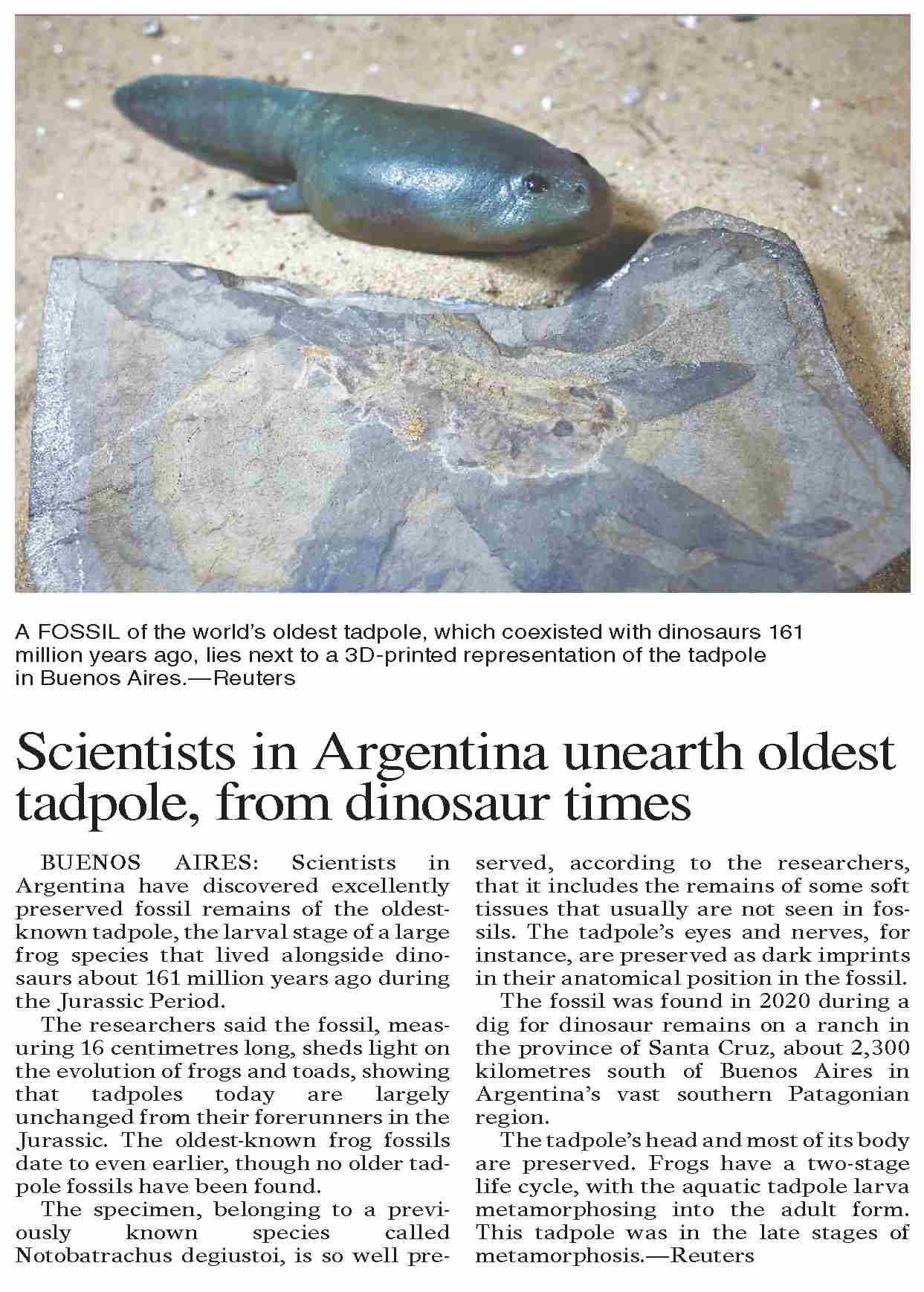 Dawn-ePaper | Oct 31, 2024 | Scientists in Argentina unearth oldest ...