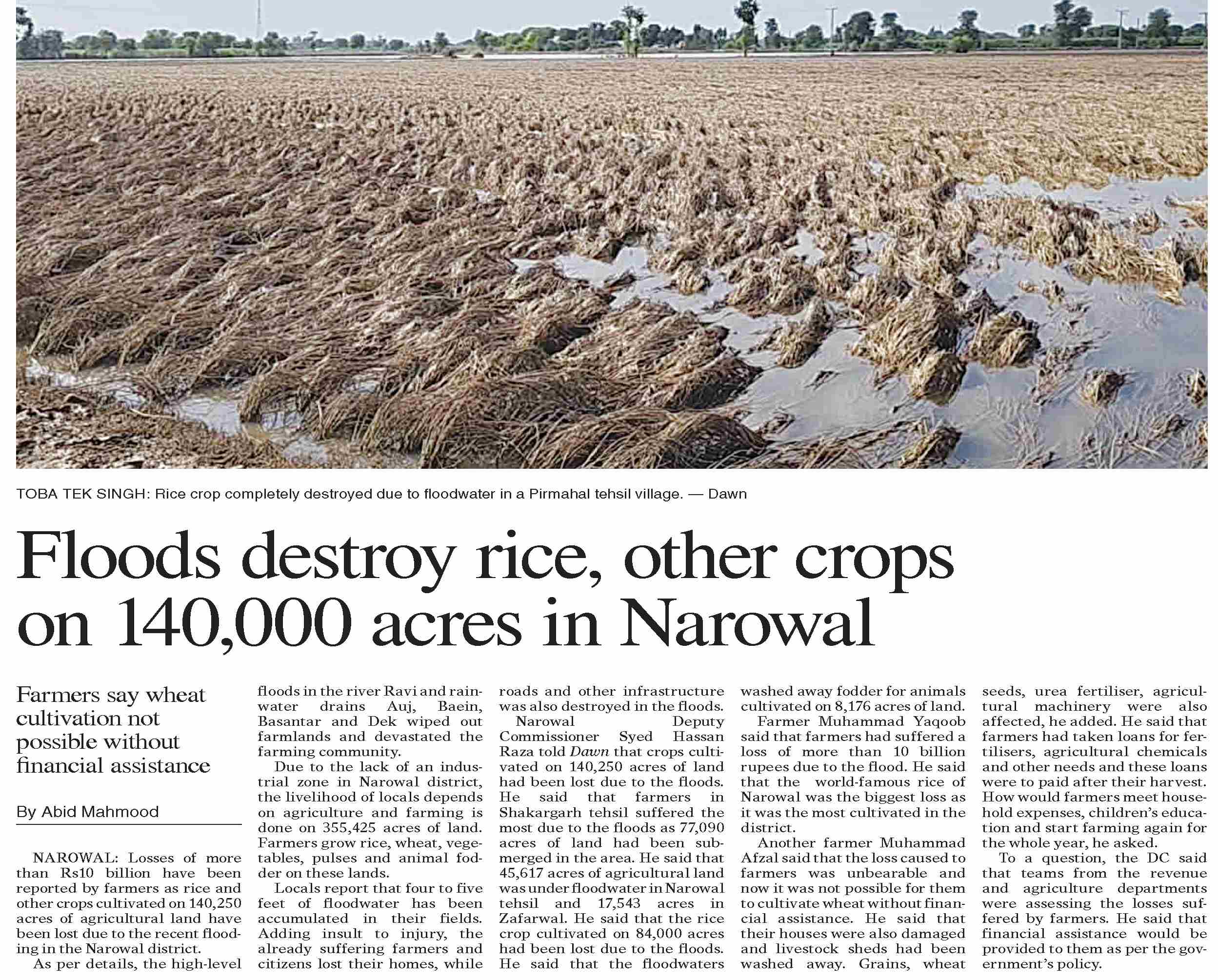 Dawn-ePaper | Sep 14, 2025 | Floods destroy rice, other crops on ...